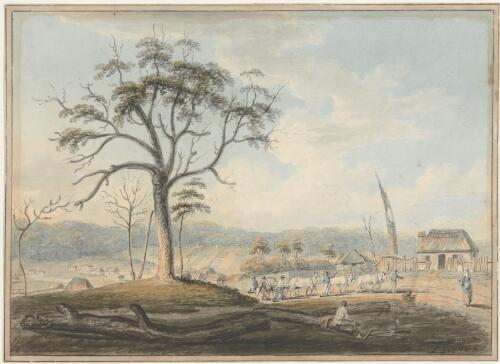 The colony’s first free settlers: – Colonial Australia's Early History