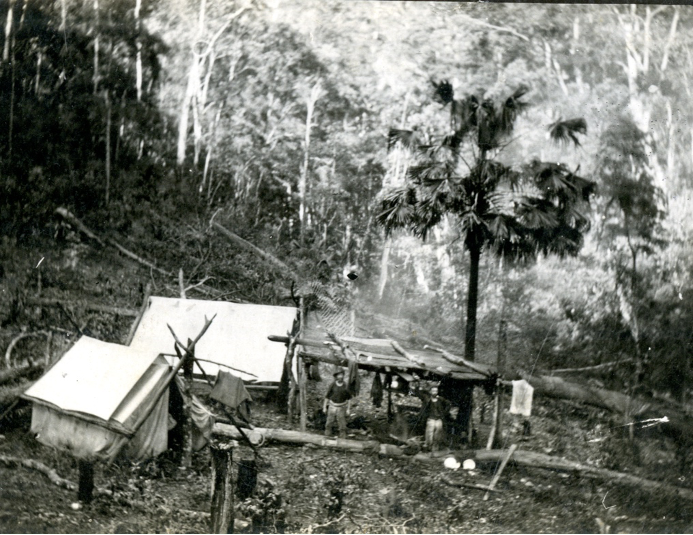 William Henry Coleman (1854 – 1935). – Colonial Australia's Early History
